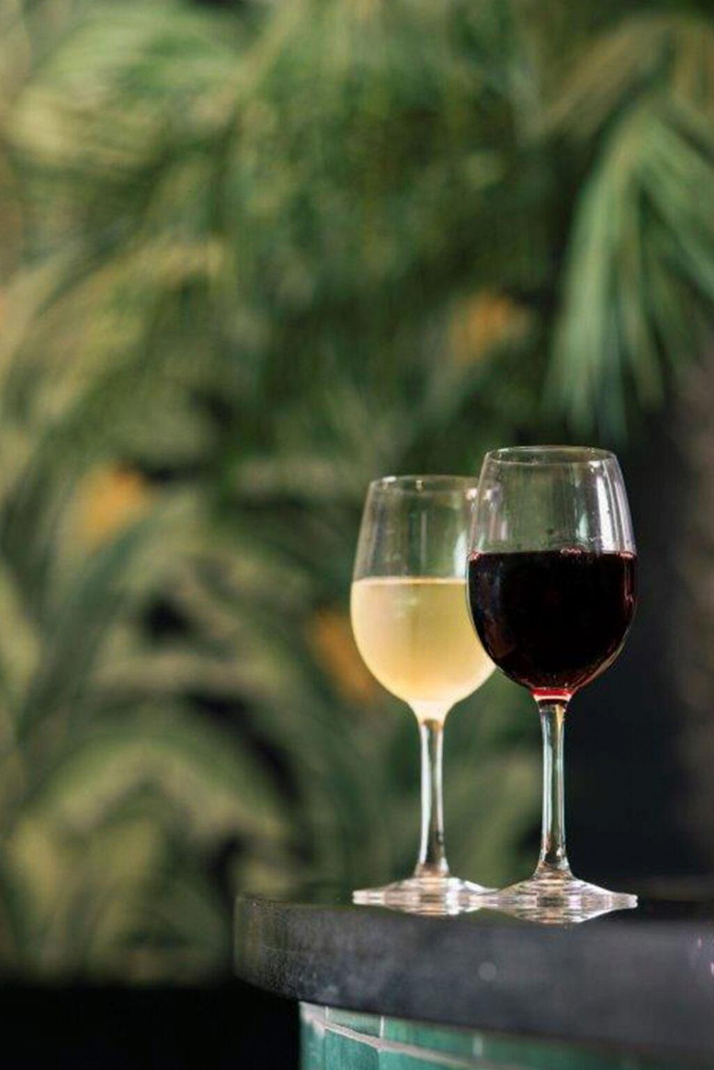 Bar Lounge | Cocktails, Beer, Wine Tweed Heads | Club Tweed